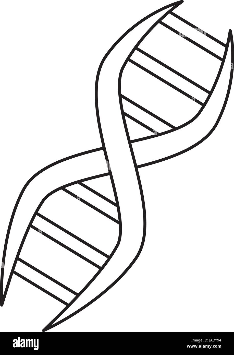 Adn cell Stock Vector Images - Alamy