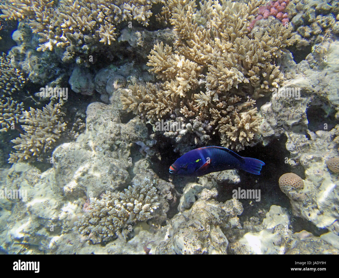 20013 hi-res stock photography and images - Alamy