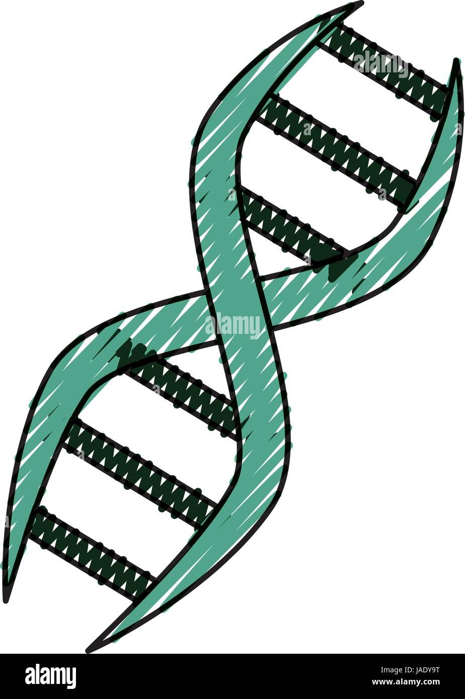 Adn genetic code Stock Vector Image & Art - Alamy Adn genetic code Stock Vector Image & Art - Alamy