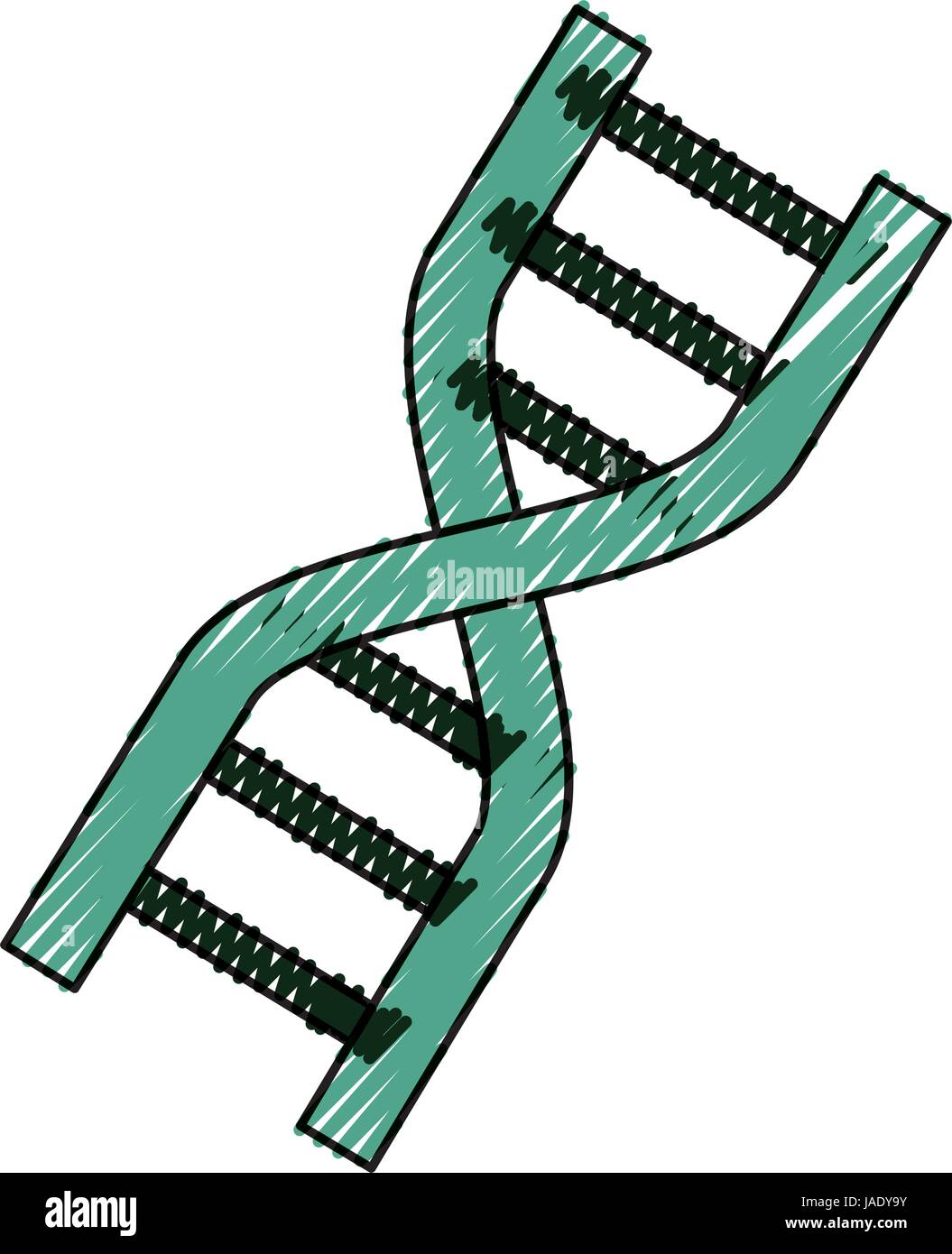 Adn genetic code Stock Vector Image & Art - Alamy