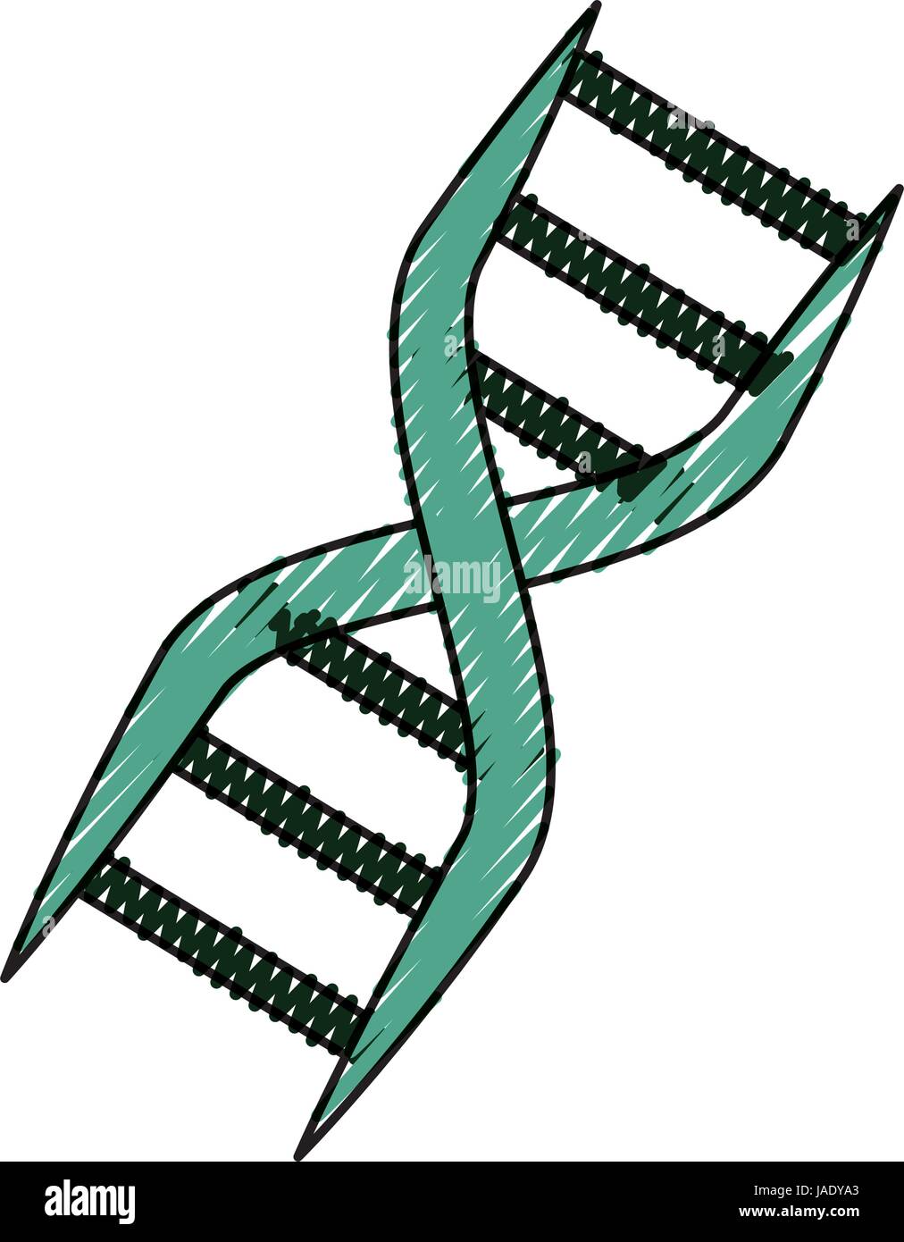 Adn spiral hi-res stock photography and images - Alamy