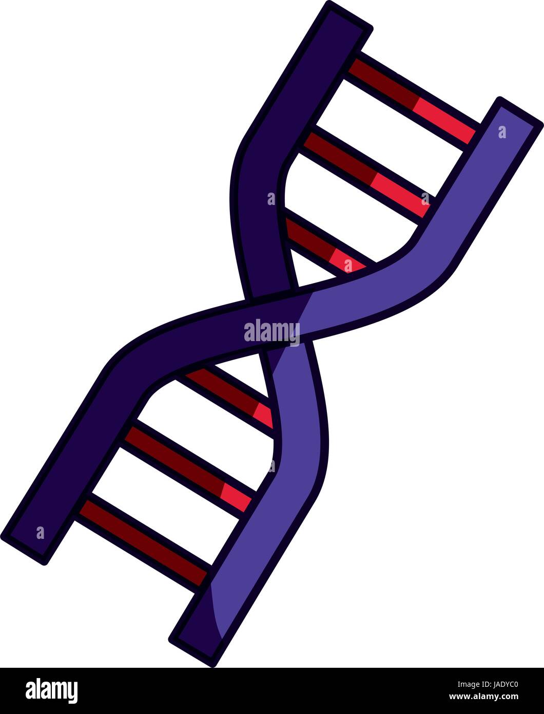 Adn spiral hi-res stock photography and images - Alamy