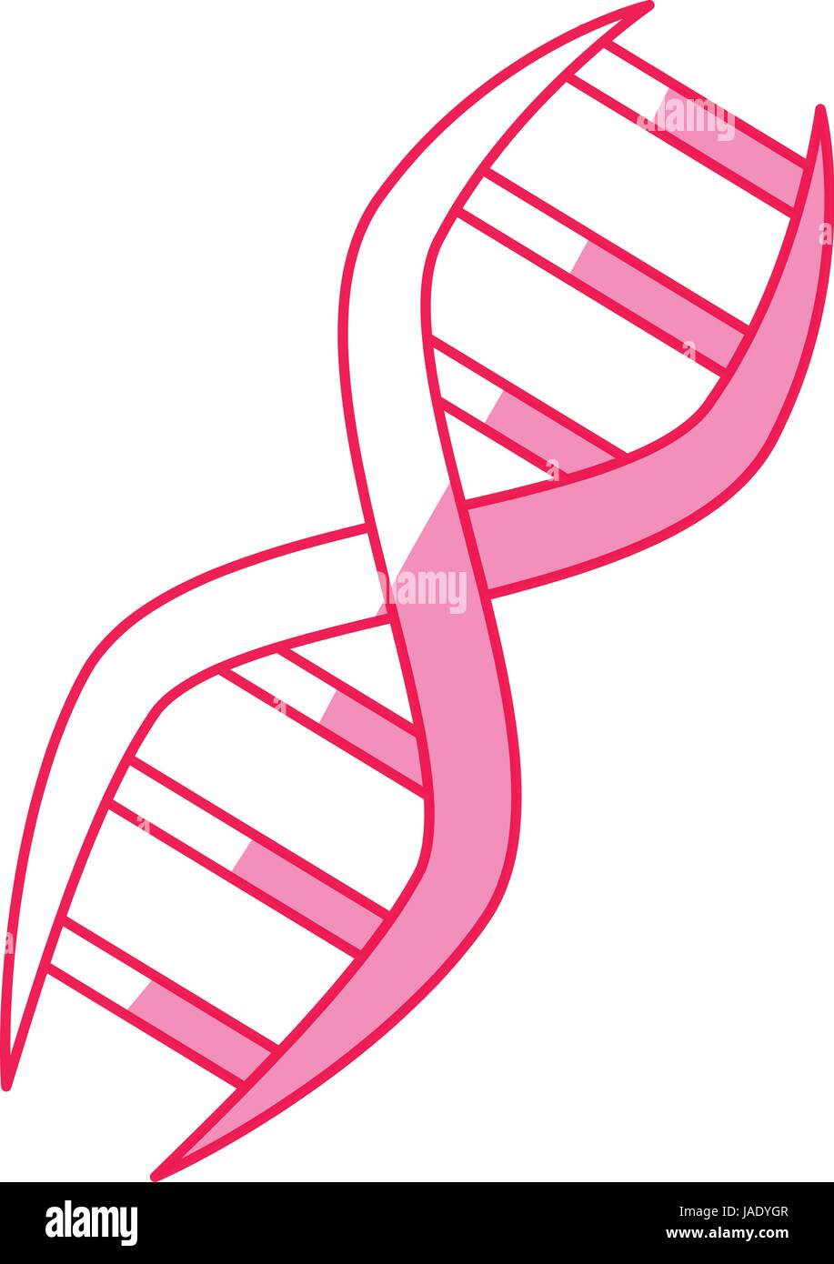 Adn spiral hi-res stock photography and images - Alamy