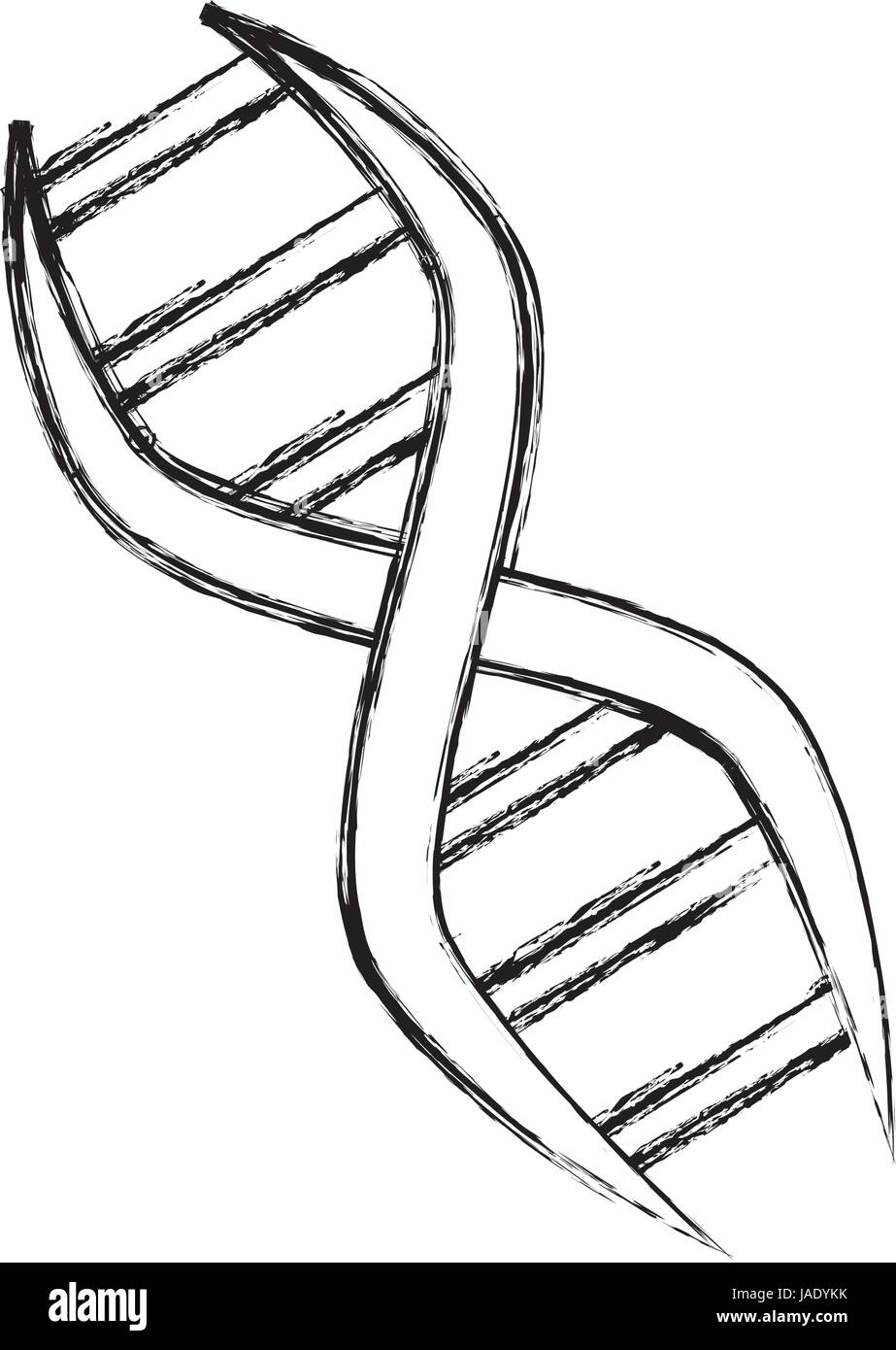Adn genetic code Stock Vector Image & Art - Alamy Adn genetic code Stock Vector Image & Art - Alamy