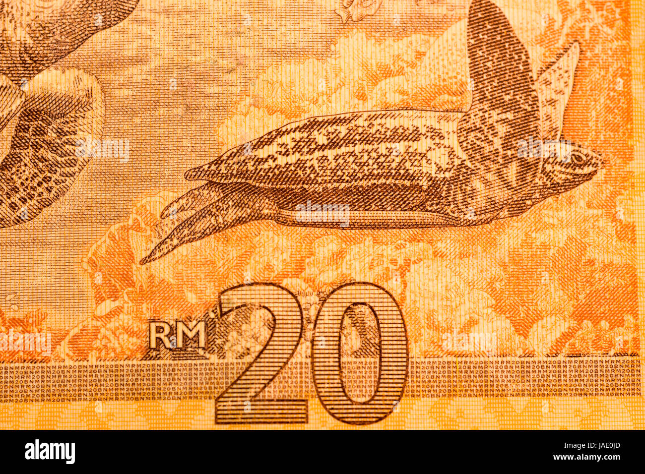 Close up Malaysia Ringgit currency note, Malaysian ringgit Ringgit ...