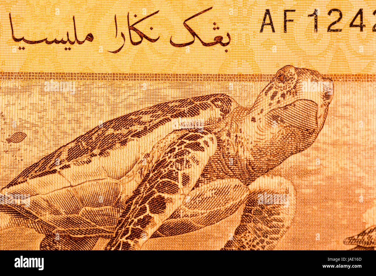 Close up Malaysia Ringgit currency note, Malaysian ringgit Ringgit ...