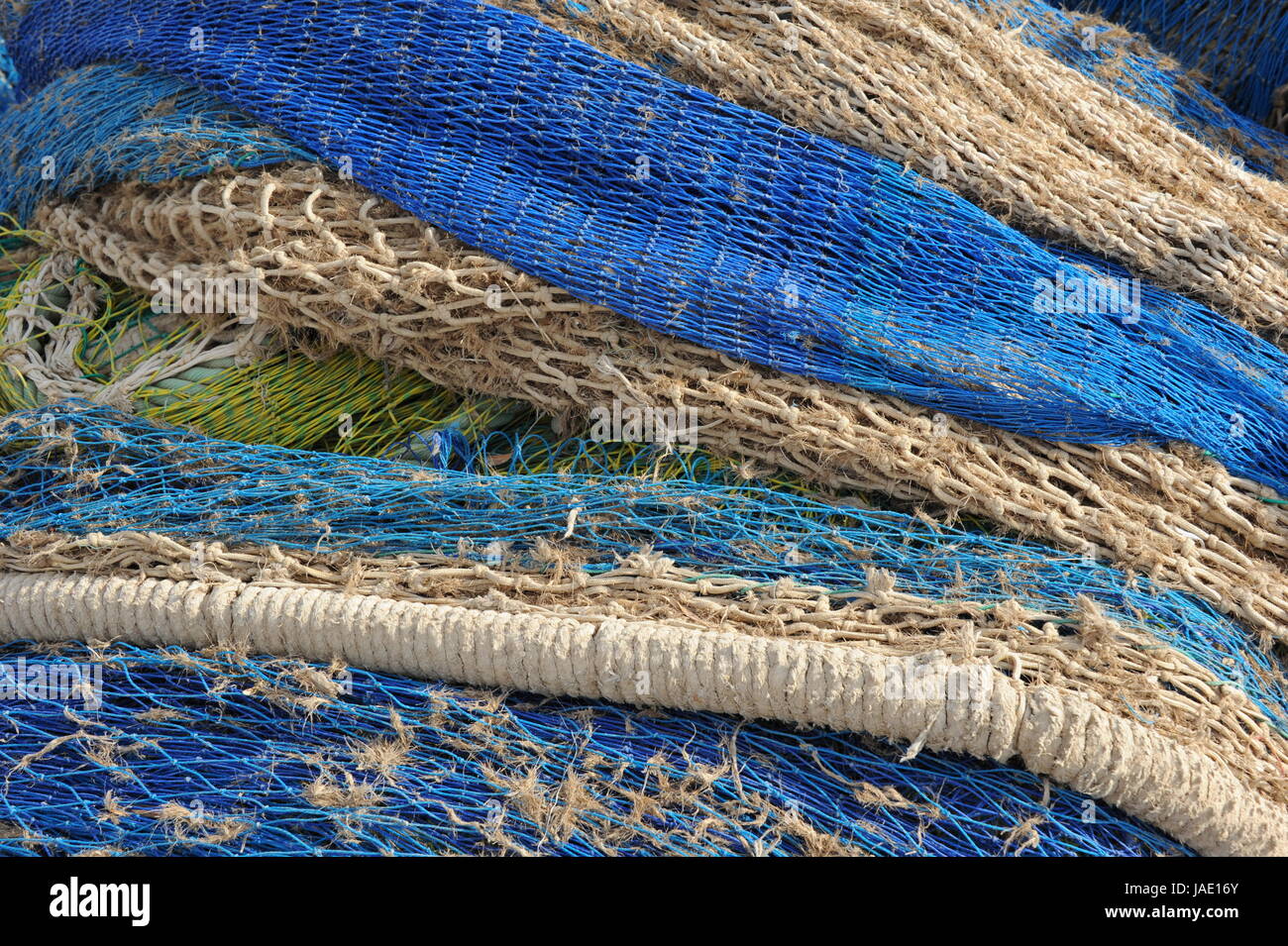 Nets In Spanish at Michelle Burgess blog