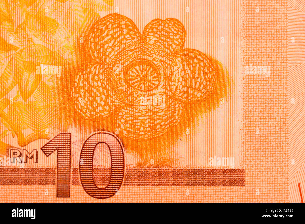 Close up Malaysia Ringgit currency note, Malaysian ringgit Ringgit ...