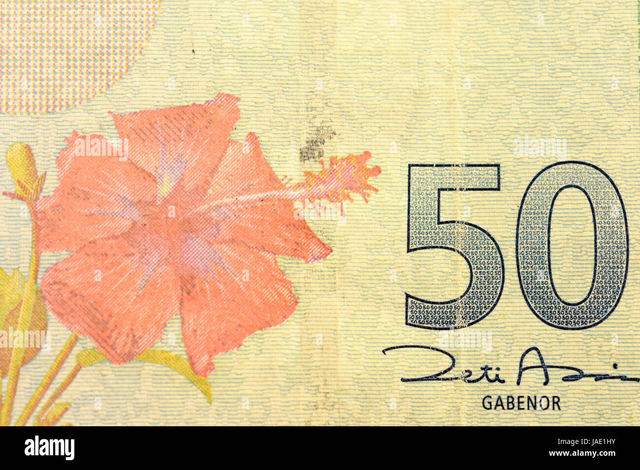 Close up Malaysia Ringgit currency note, Malaysian ringgit Ringgit ...