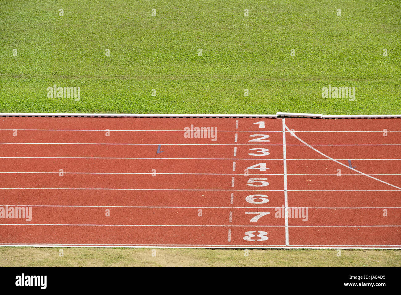 Start and finish line of red running track sports field Stock Photo - Alamy