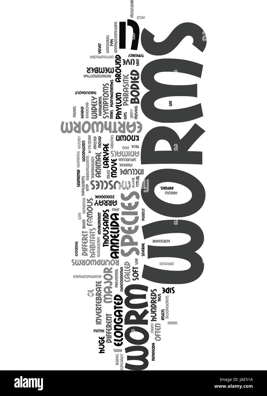 Phylum Annelida Worm High Resolution Stock Photography and Images - Alamy