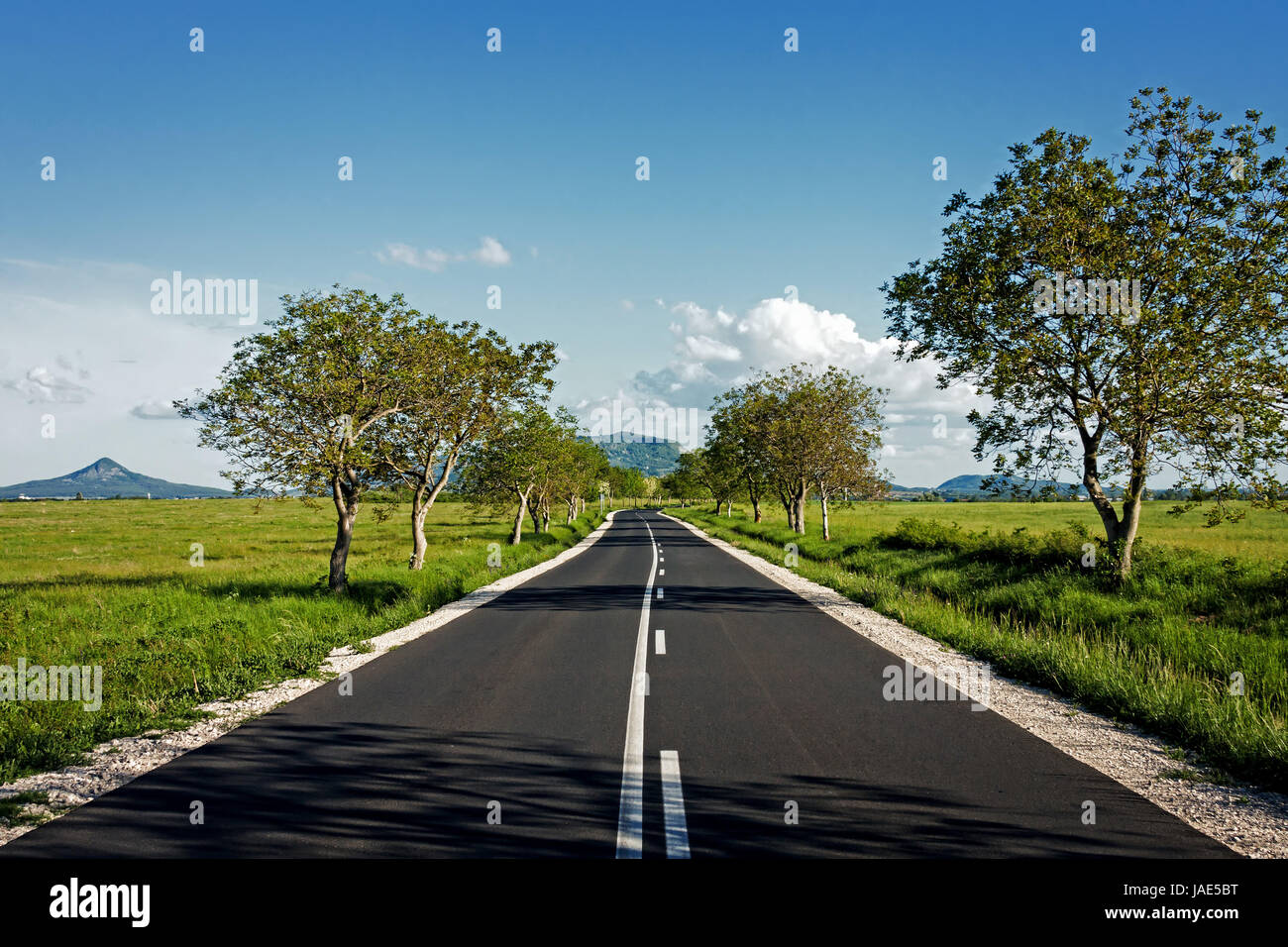 Asphalt road through the green field Stock Photo - Alamy