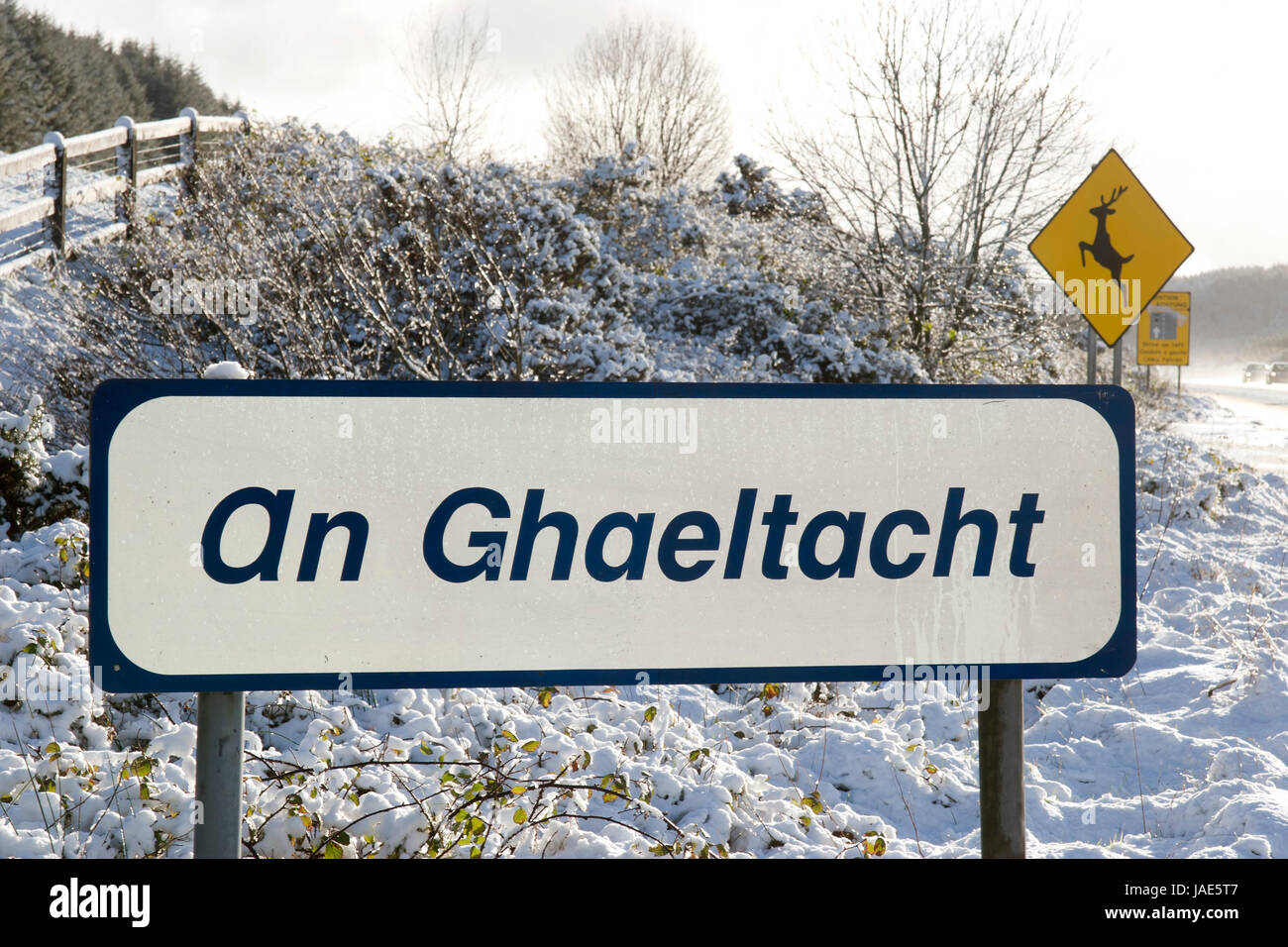 Irish speaking hi-res stock photography and images - Alamy