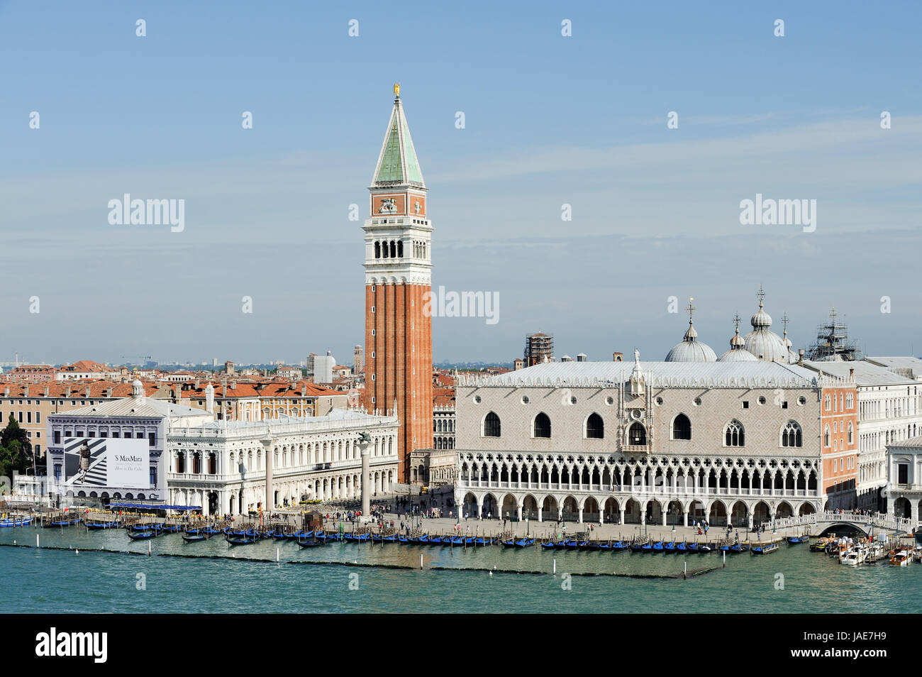 Marco magnifico hi-res stock photography and images - Alamy