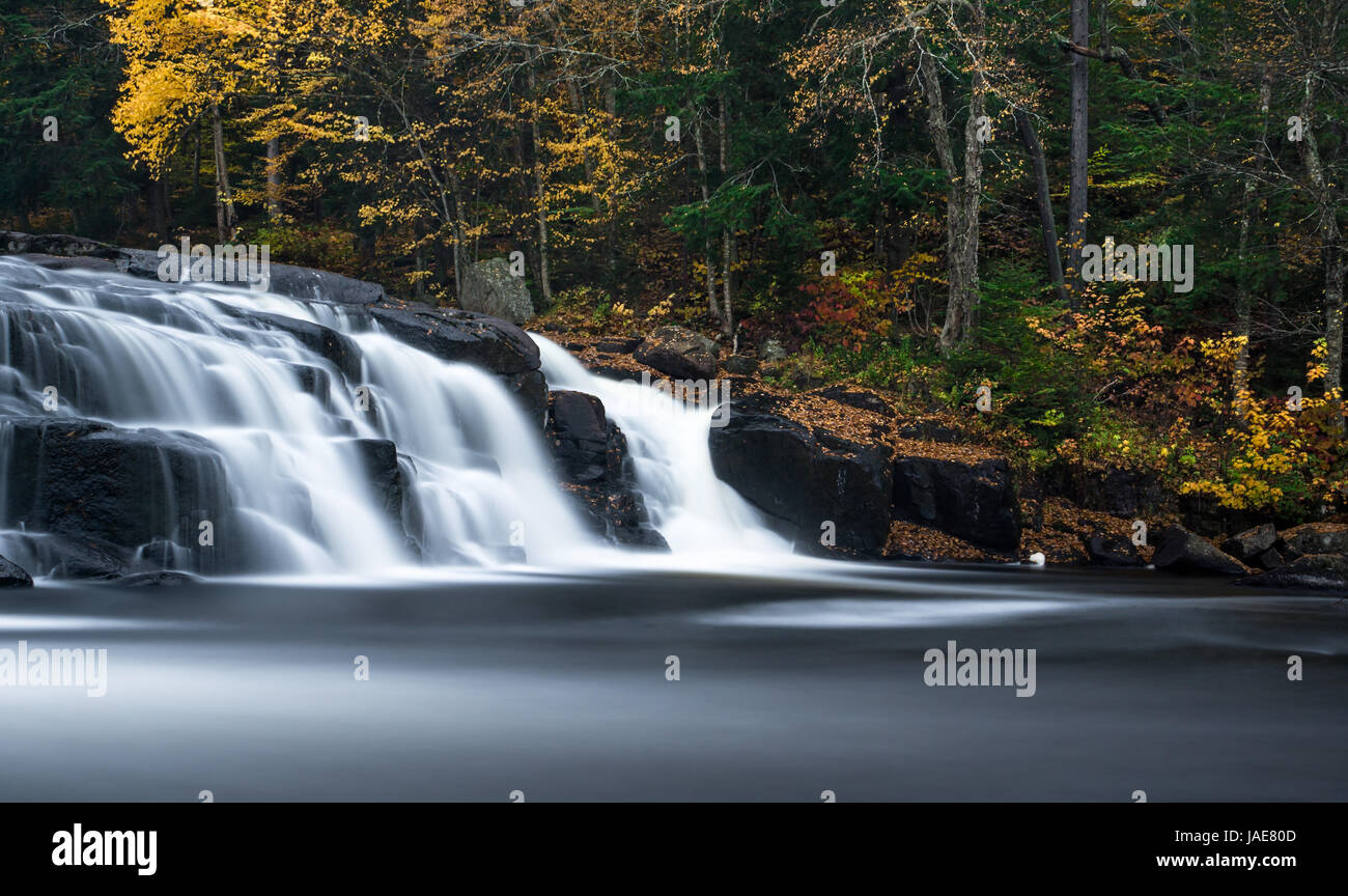 multifarious richly coloured Stock Photo - Alamy