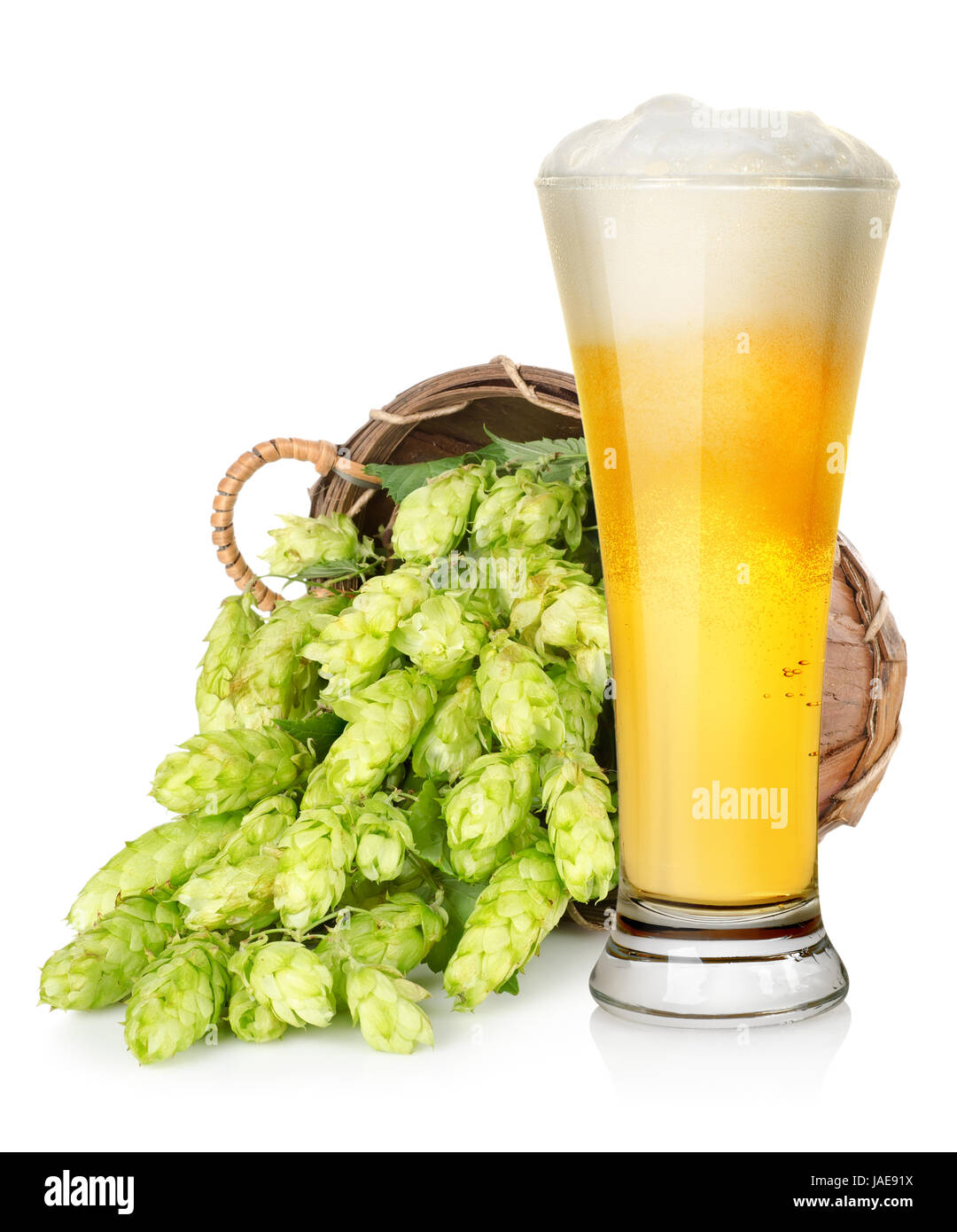Light beer and hop in basket isolated on white background Stock Photo ...
