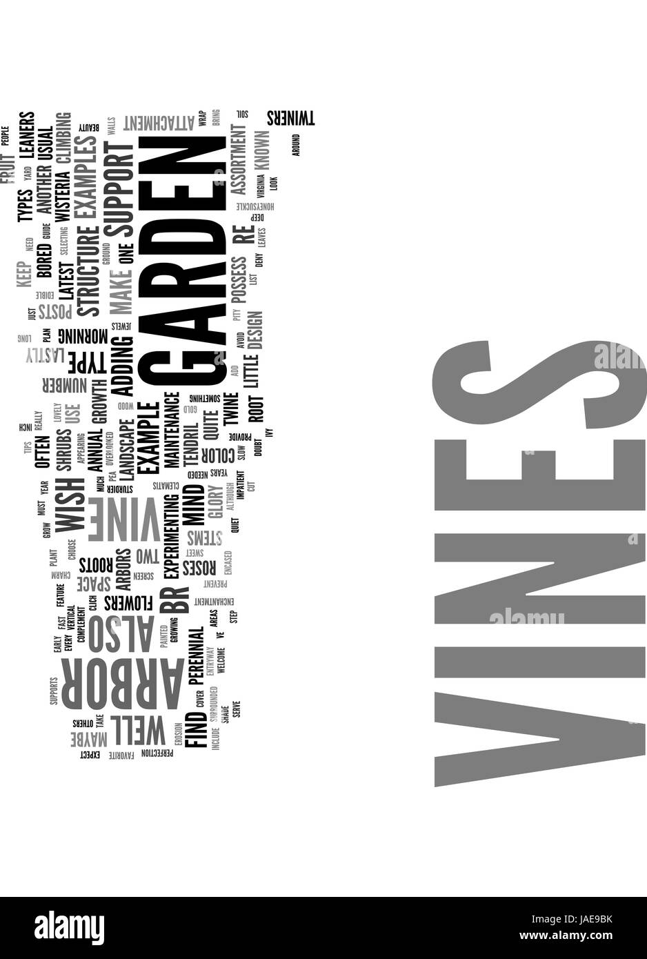 Br Vine High Resolution Stock Photography and Images - Alamy