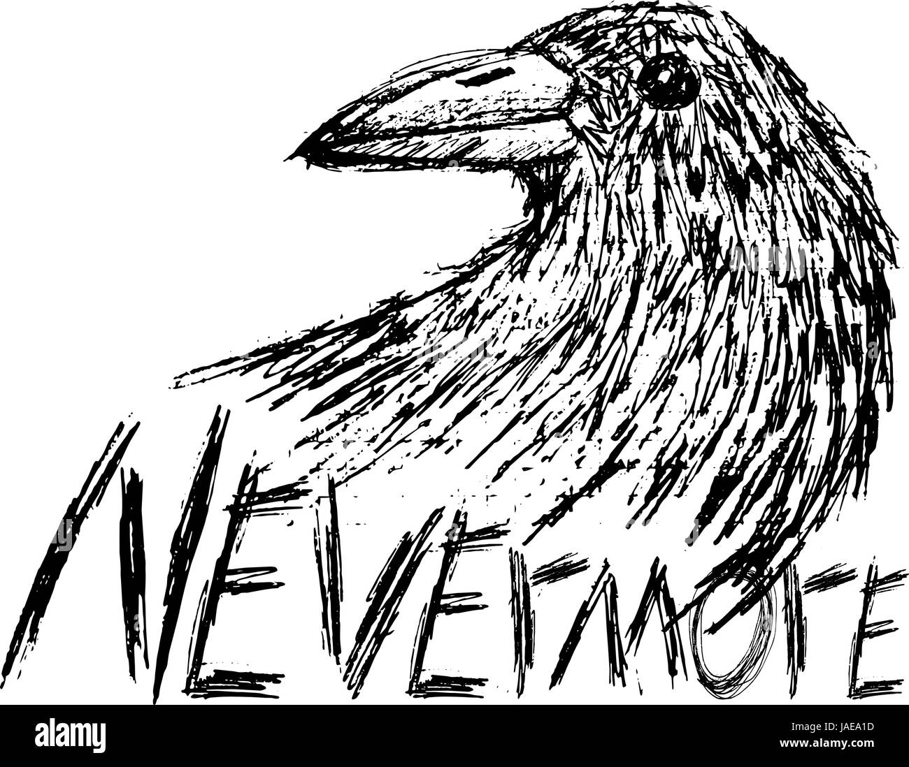 Crow raven handdrawn sketch text nevermore isolated on white Stock ...