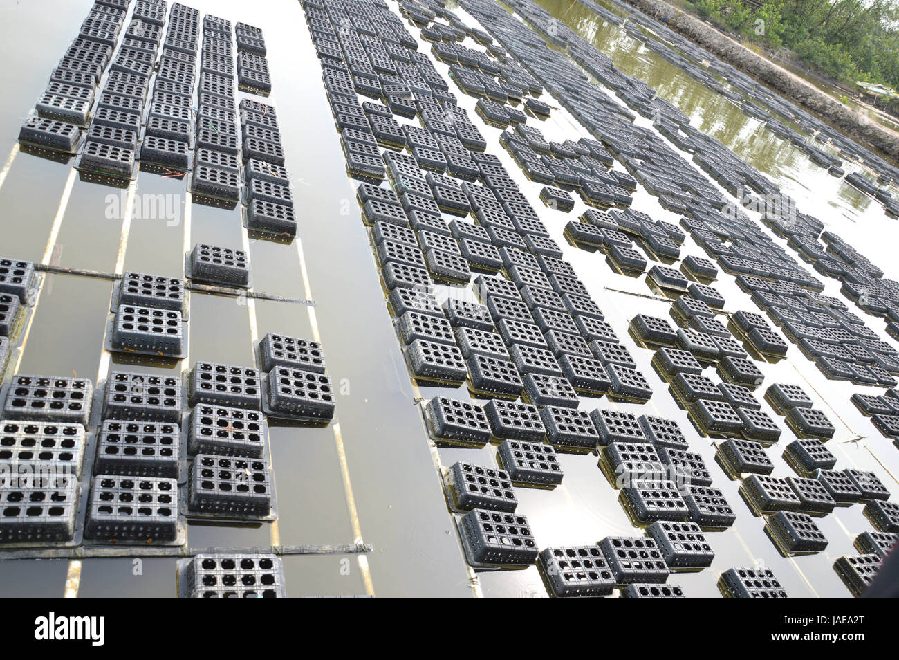 black boxes crab on soft-shelled crab farming ponds Stock Photo - Alamy