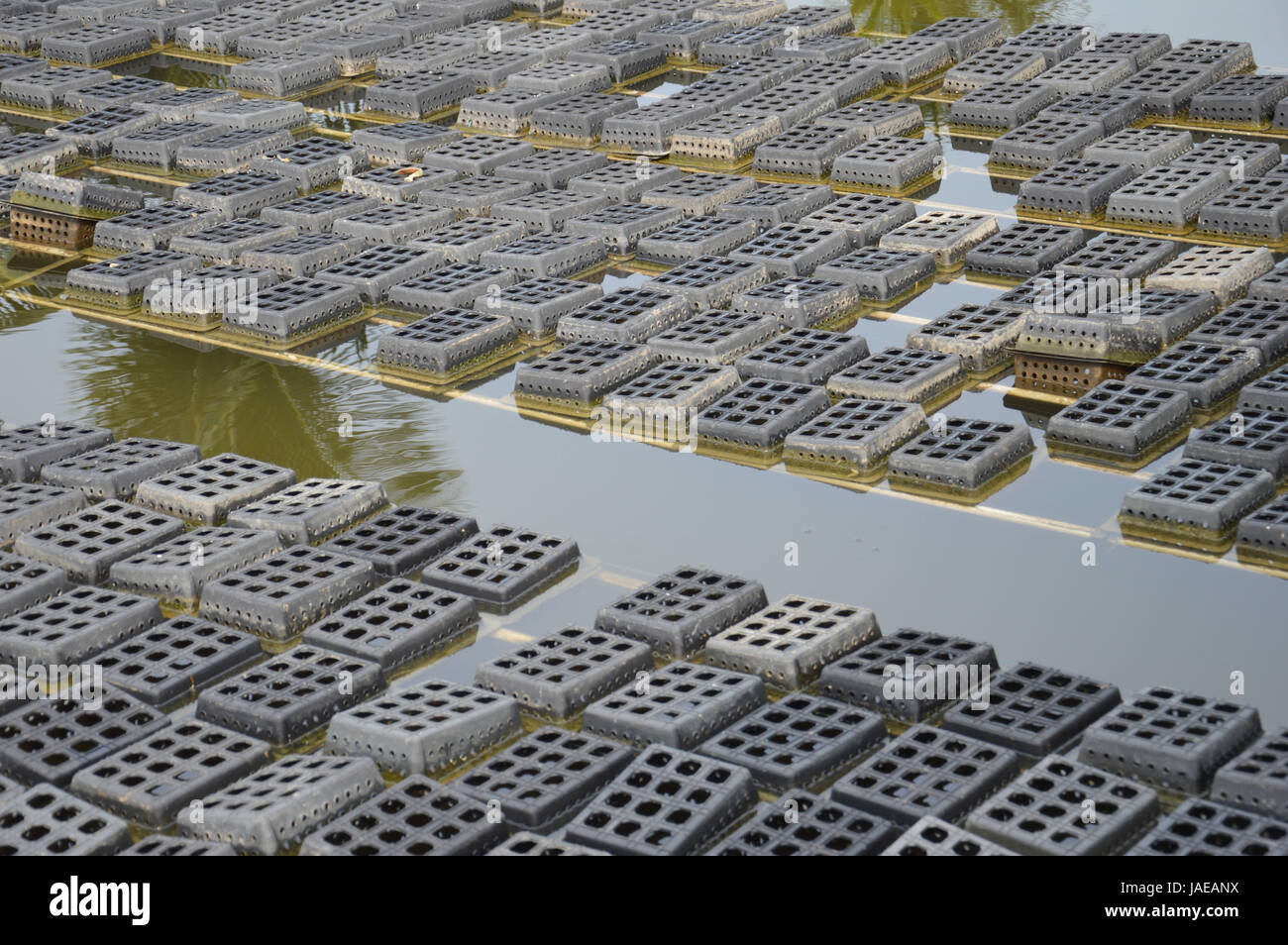 black boxes crab on soft-shelled crab farming ponds Stock Photo - Alamy