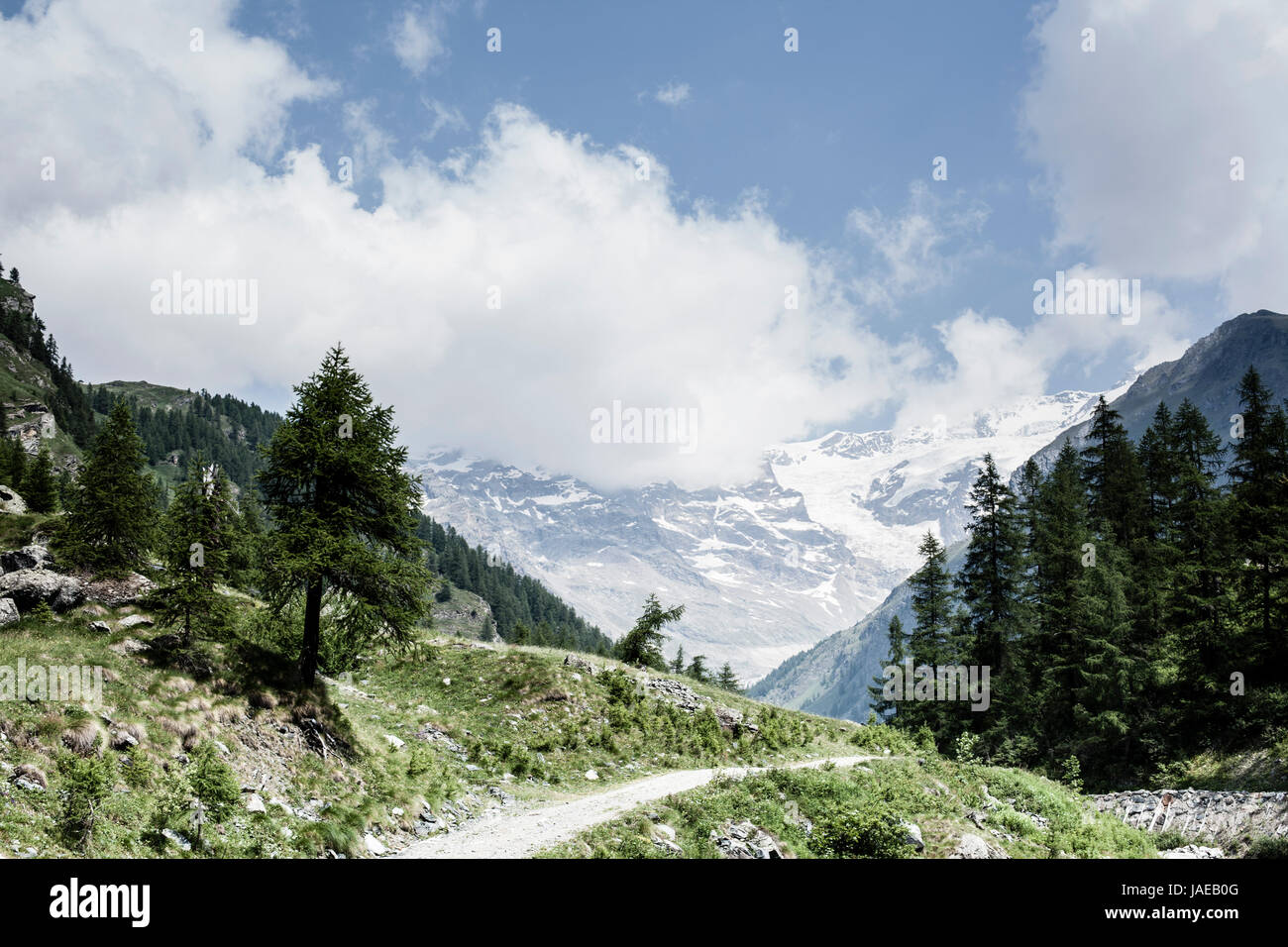 Coomb height hi-res stock photography and images - Alamy