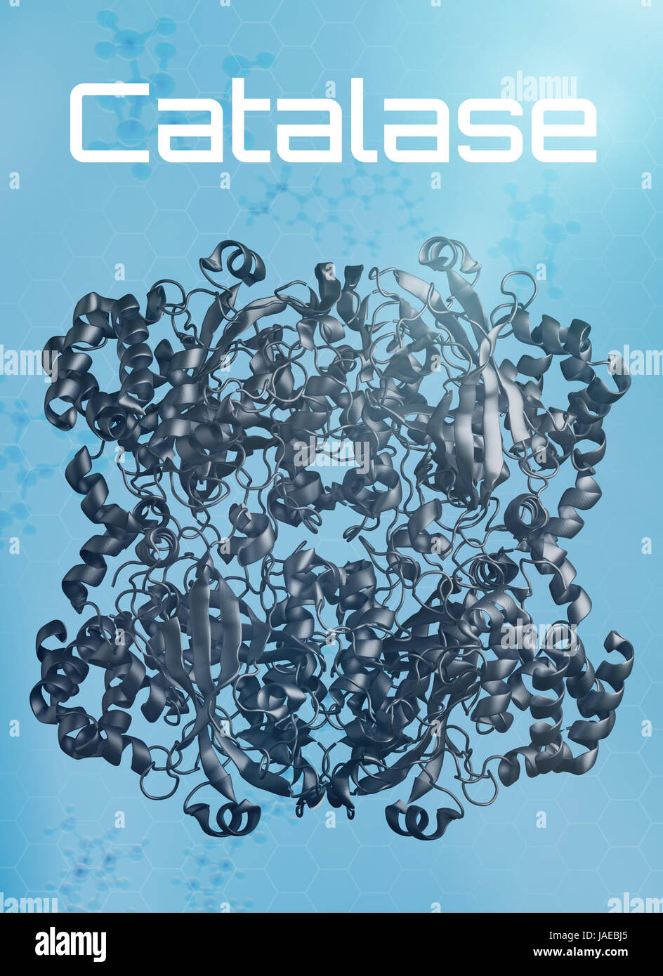 Three-dimensional model of Catalase - 3d render Stock Photo - Alamy