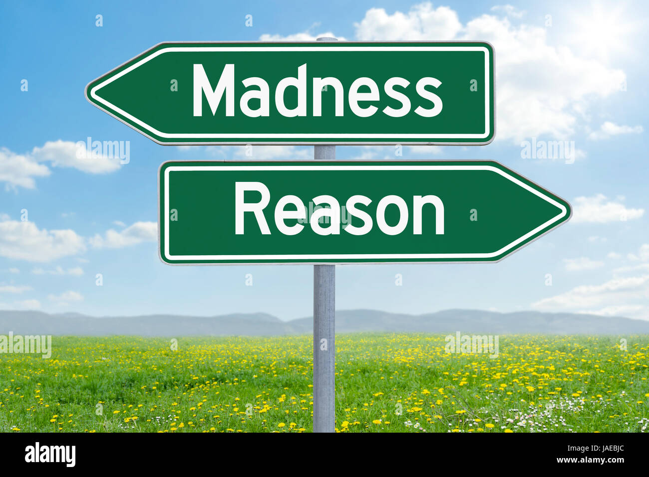 Two green direction signs - Madness or Reason Stock Photo - Alamy