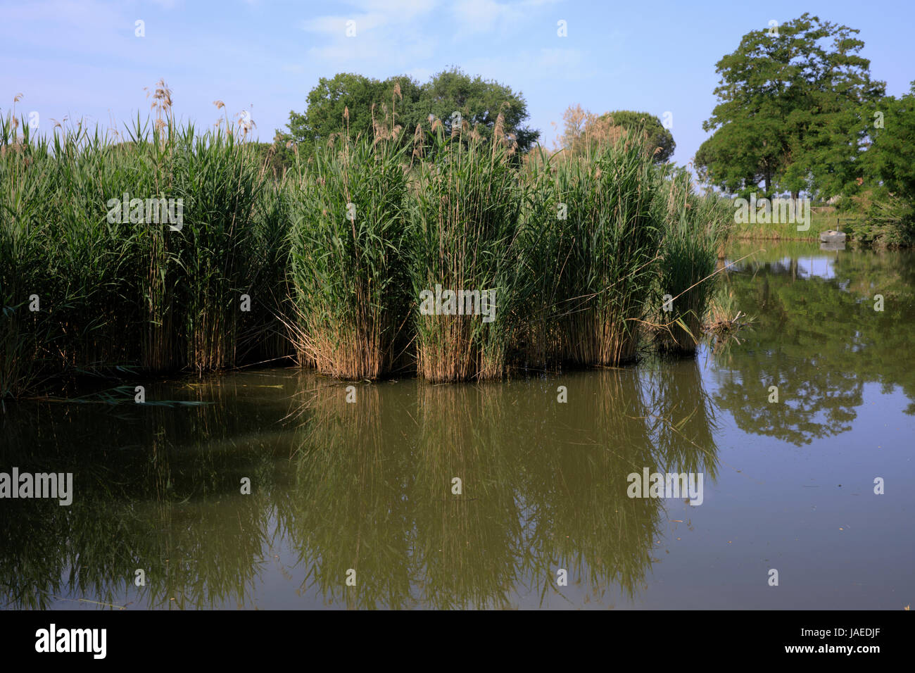 Po delta regional park hi-res stock photography and images - Alamy