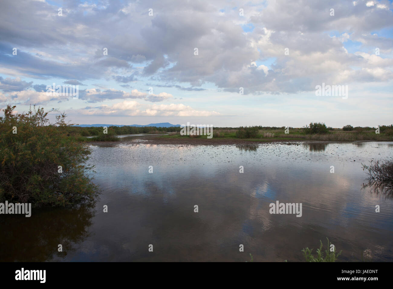 Evros delta hi-res stock photography and images - Alamy