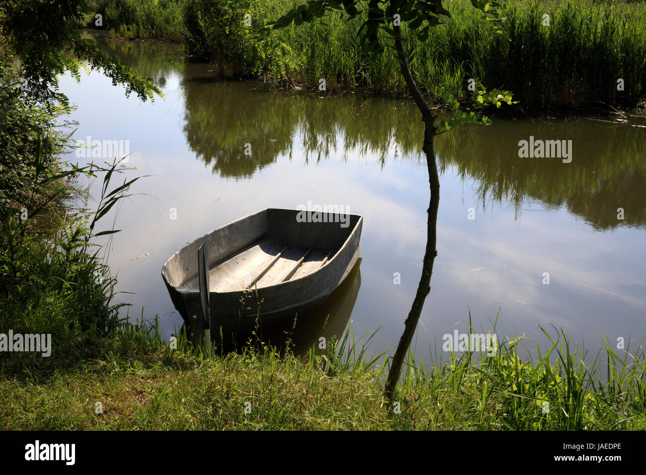 Delta po river regional park hi-res stock photography and images - Alamy
