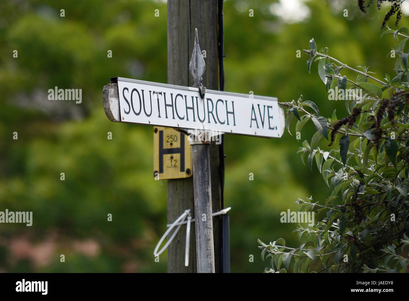 Southchurch Avenue, Southend on Sea, Essex. Road sign Stock Photo - Alamy