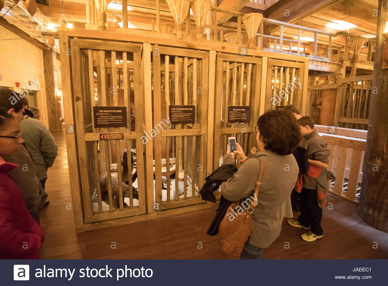 Ark encounter visitors look at animal cage exhibits showing how Stock ...