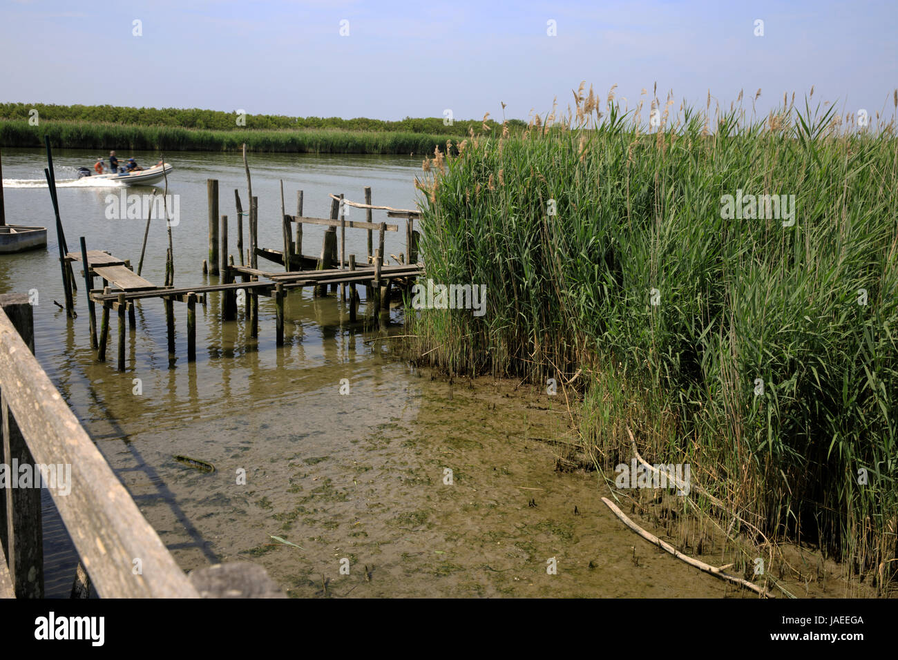 Po river, Delta Regional Park, Emilia Romagna, Italy Stock Photo - Alamy