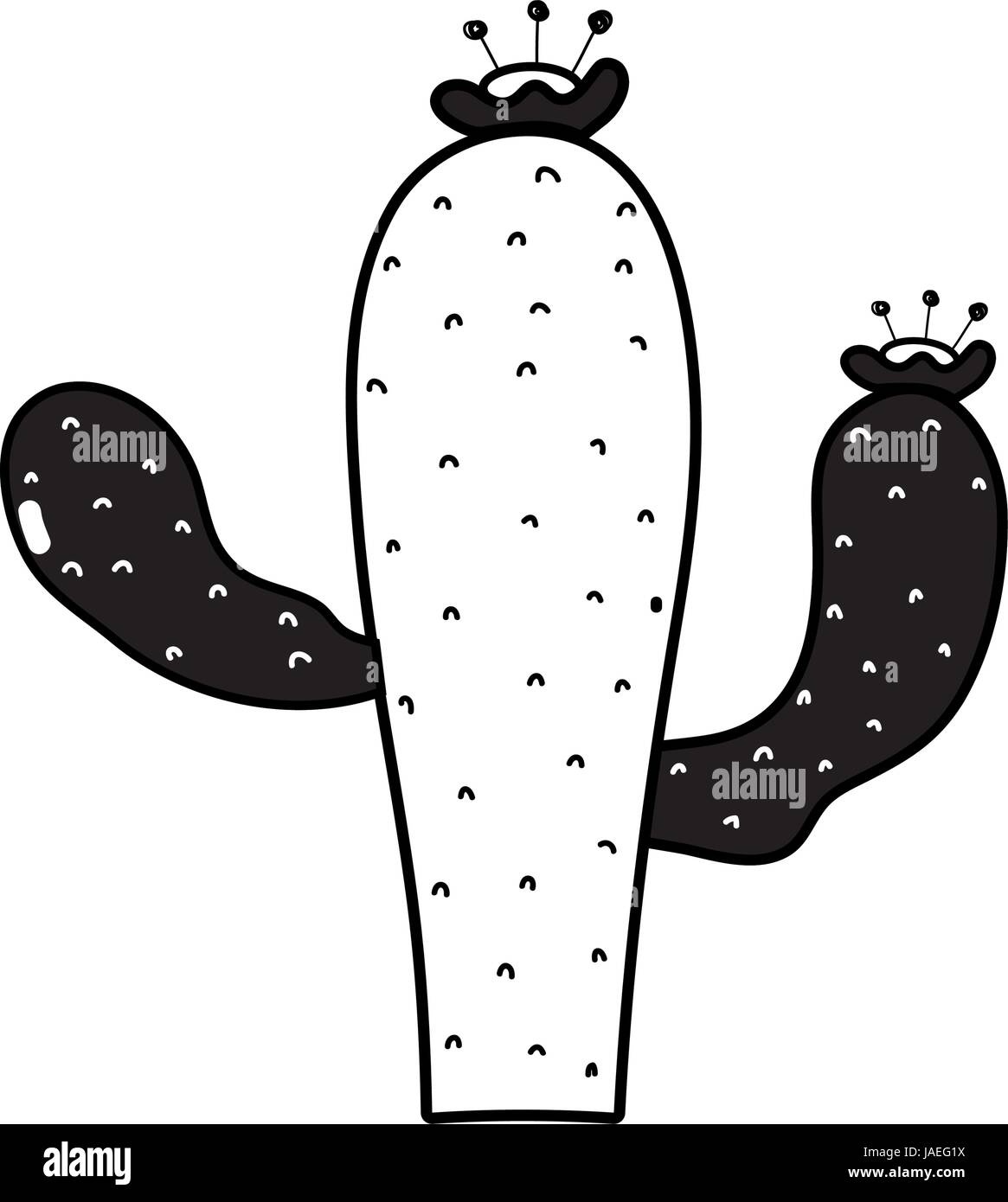 contour tropical cactus with flowers and petals Stock Vector Image ...