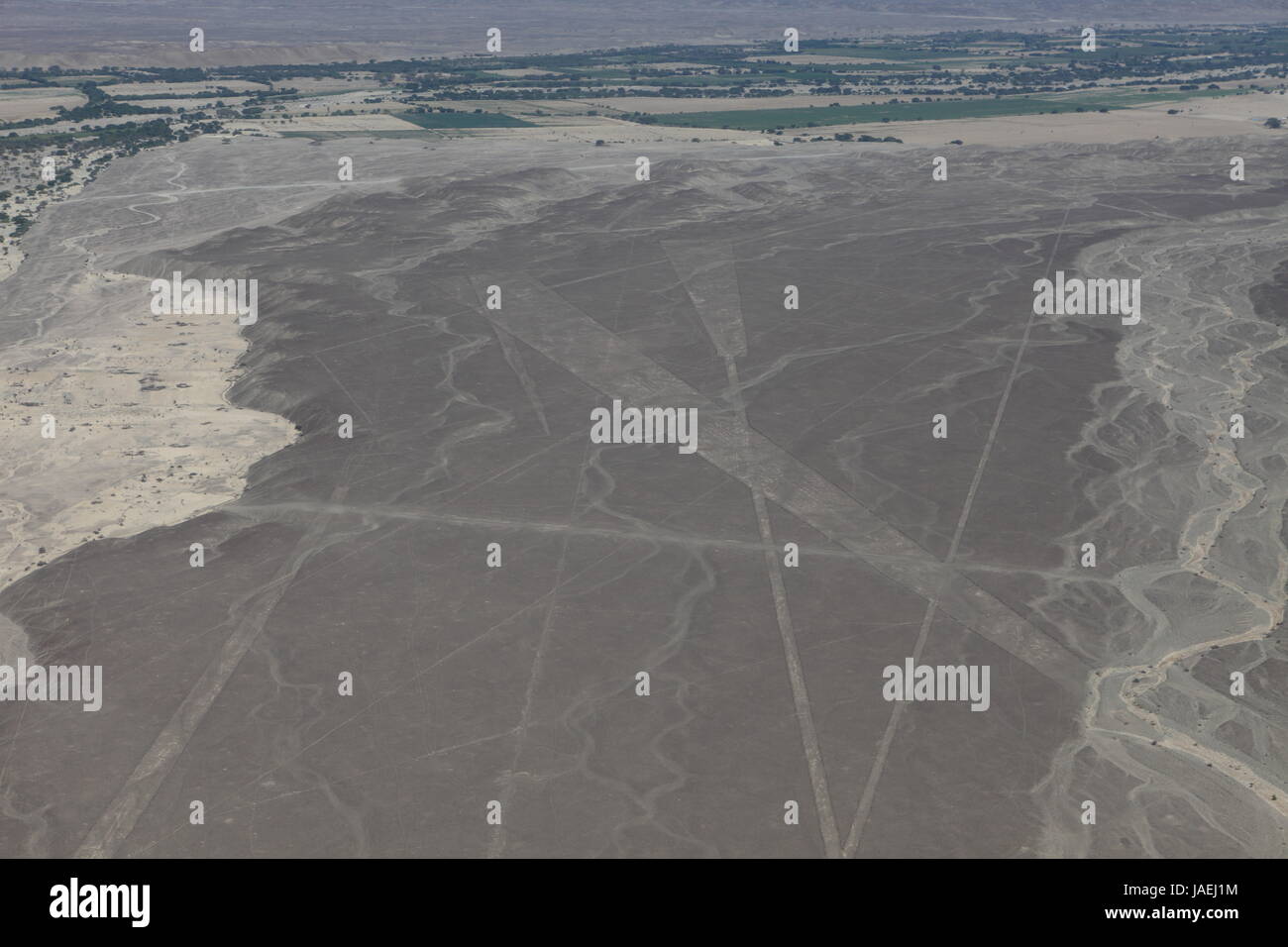 Monkey fish hi-res stock photography and images - Alamy