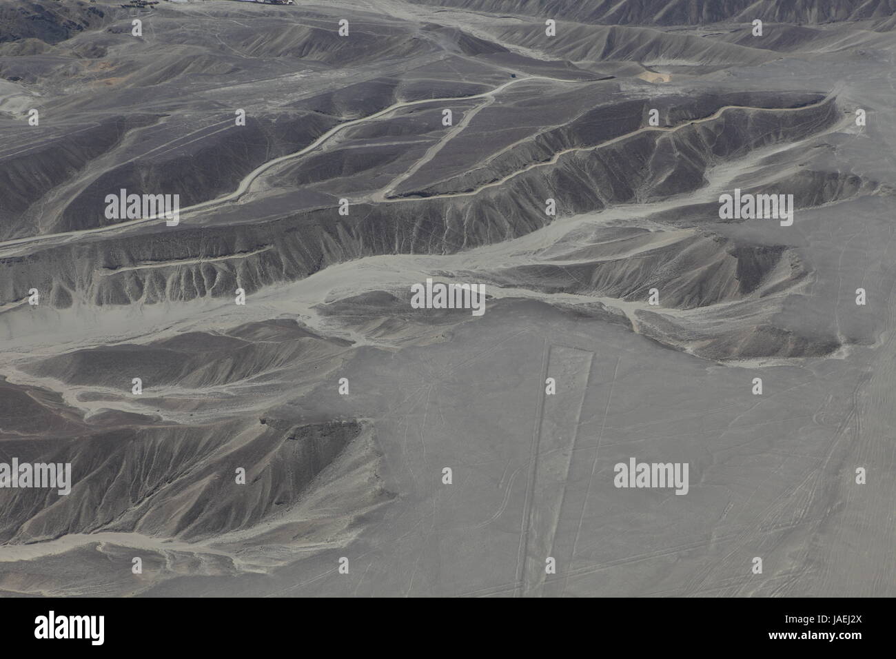 Monkey fish hi-res stock photography and images - Alamy