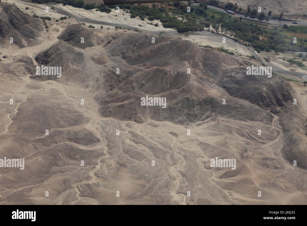 Monkey fish hi-res stock photography and images - Alamy