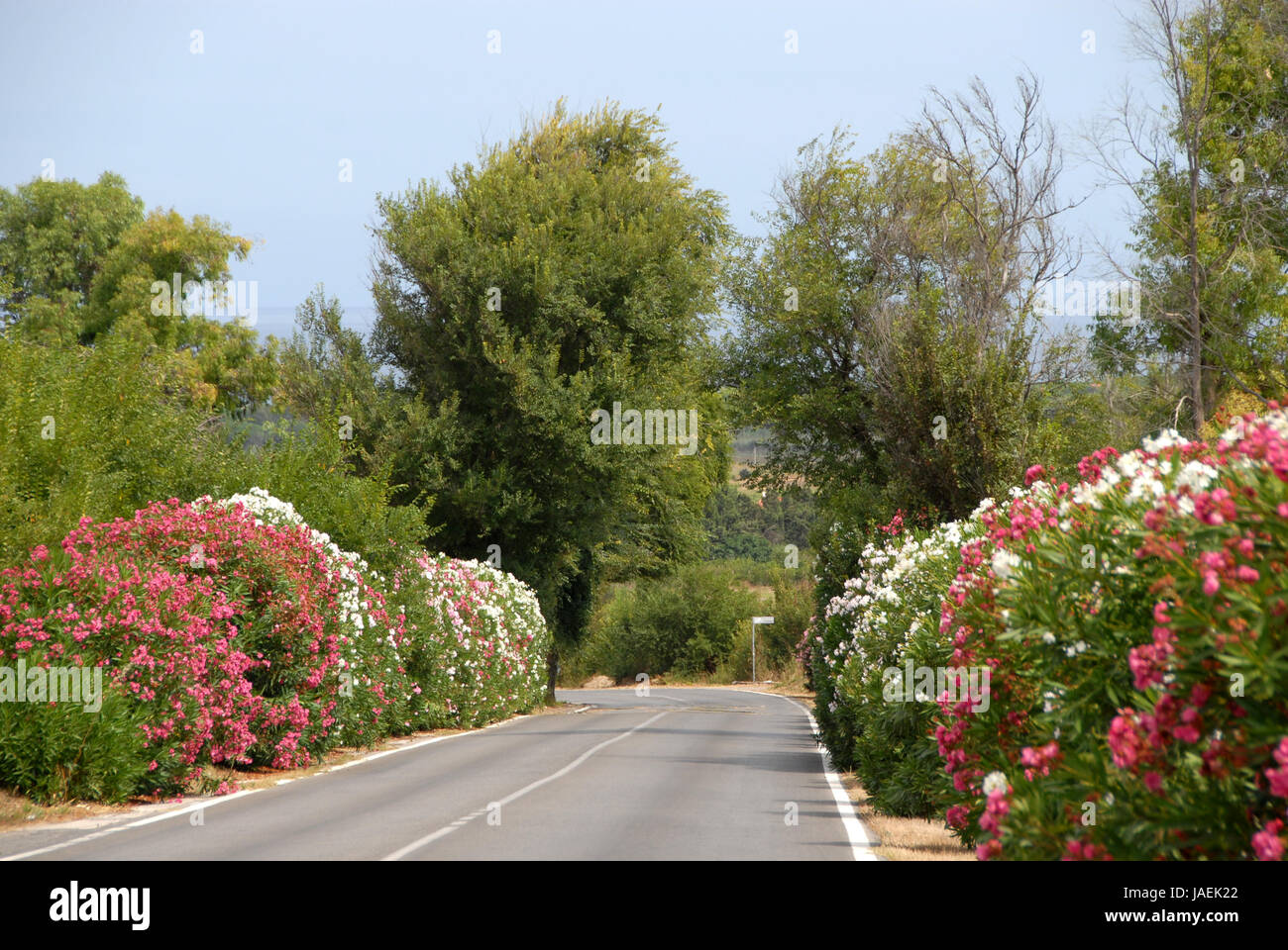 spare time free time Stock Photo - Alamy