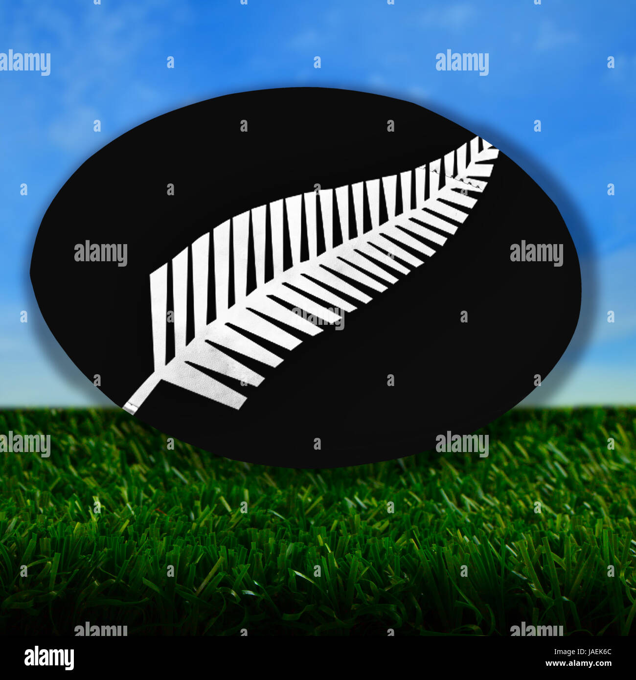 Rugby ball with New Zealand uniform colors, with silver fern, over ...