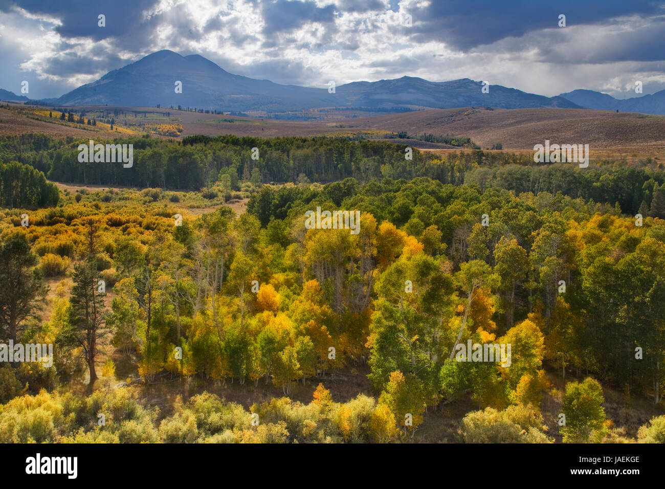 Mono fall colors hi-res stock photography and images - Alamy