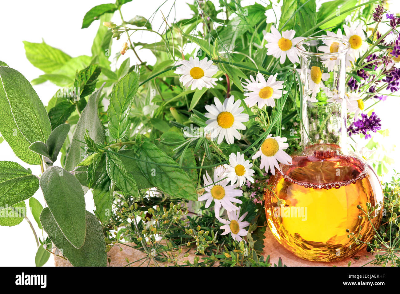 homeopathy with herbs and medicinal plants Stock Photo - Alamy