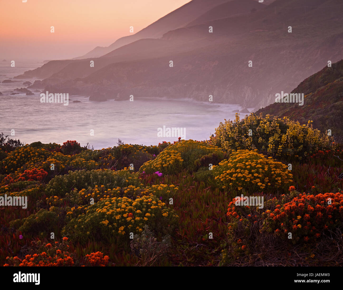 Garrapata state beach hi-res stock photography and images - Alamy