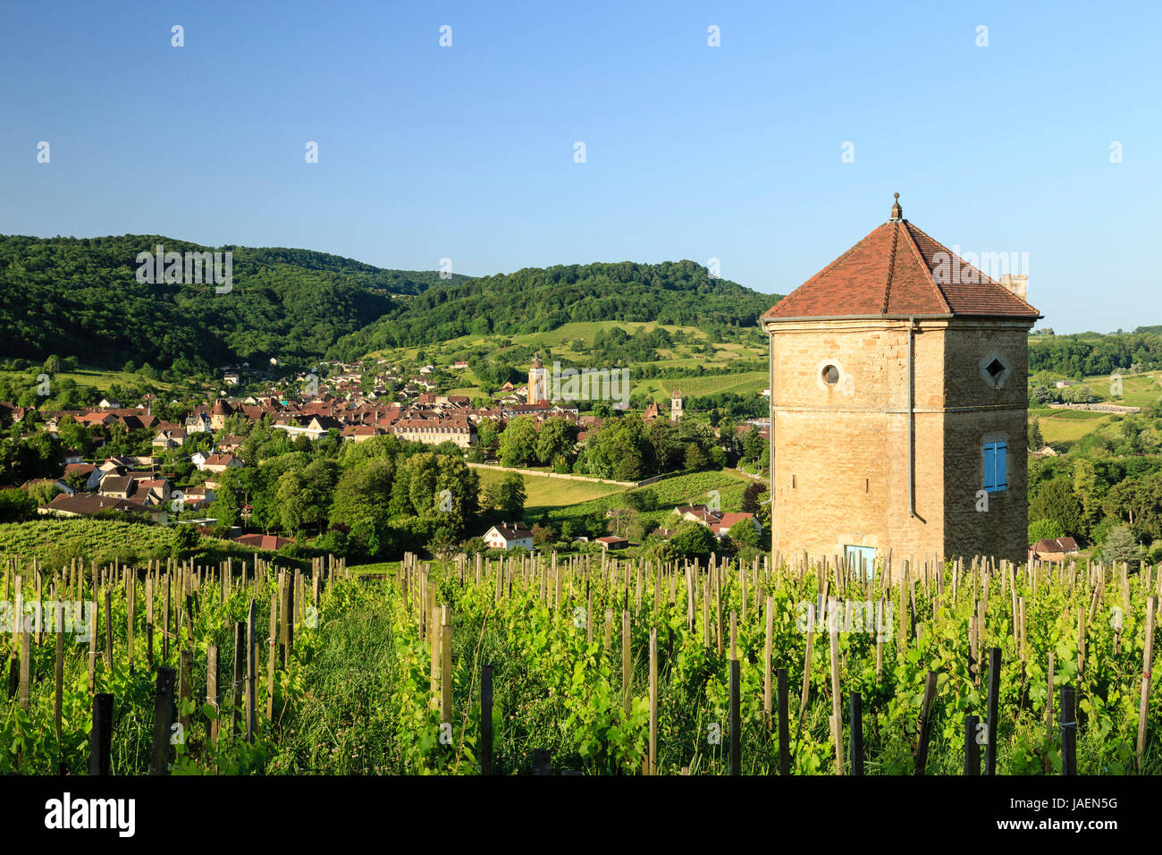France, Jura (39), Arbois et son vignoble // France, Jura, Arbois and ...