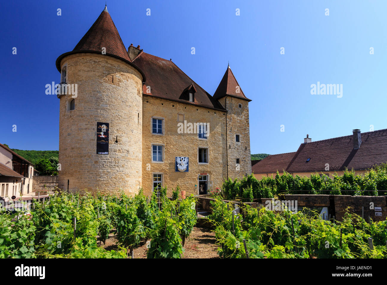 France, Jura, Arbois, Pecauld castle, Vine Museum Stock Photo - Alamy