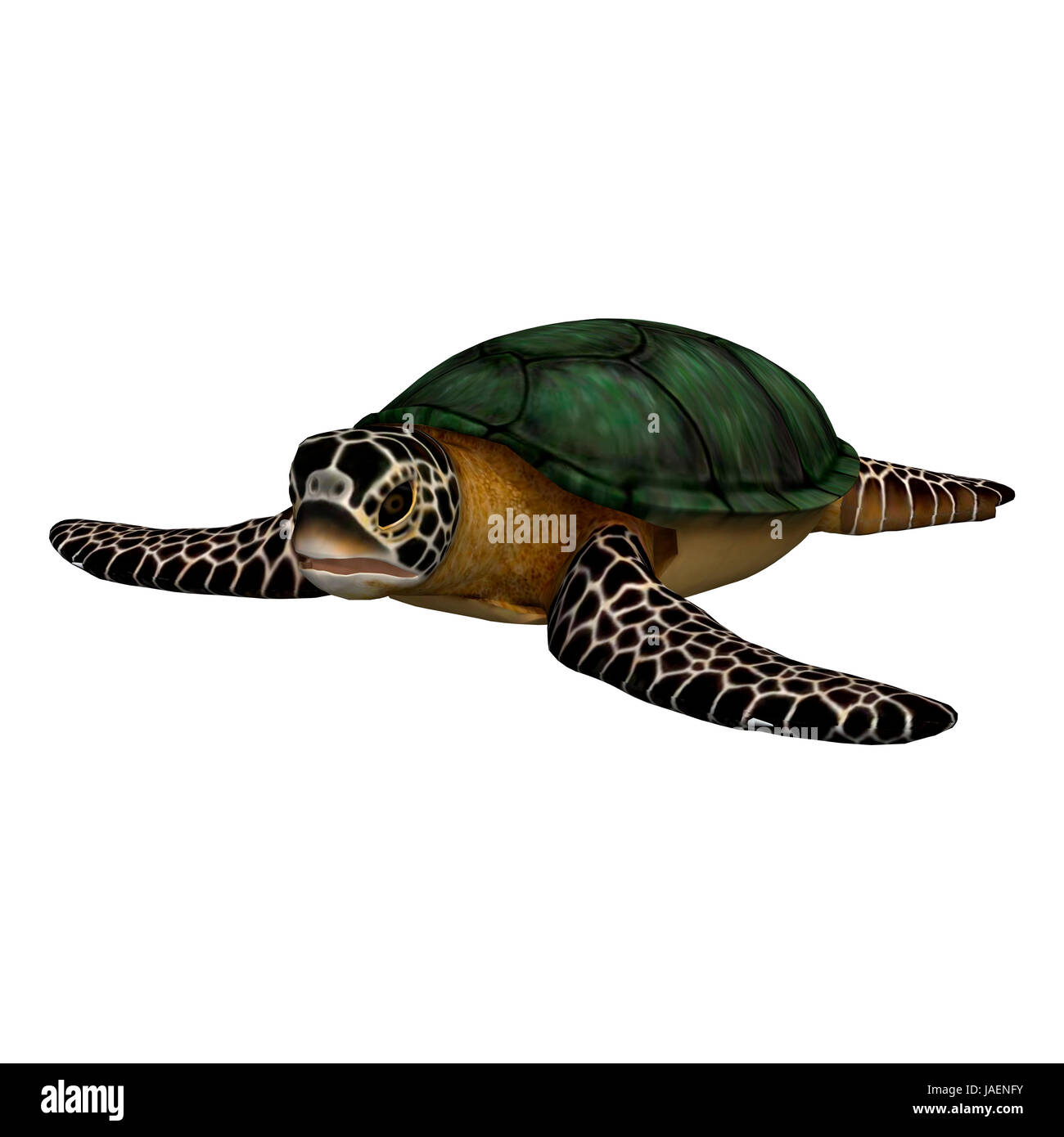 3d digital render sea turtle hi-res stock photography and images - Alamy