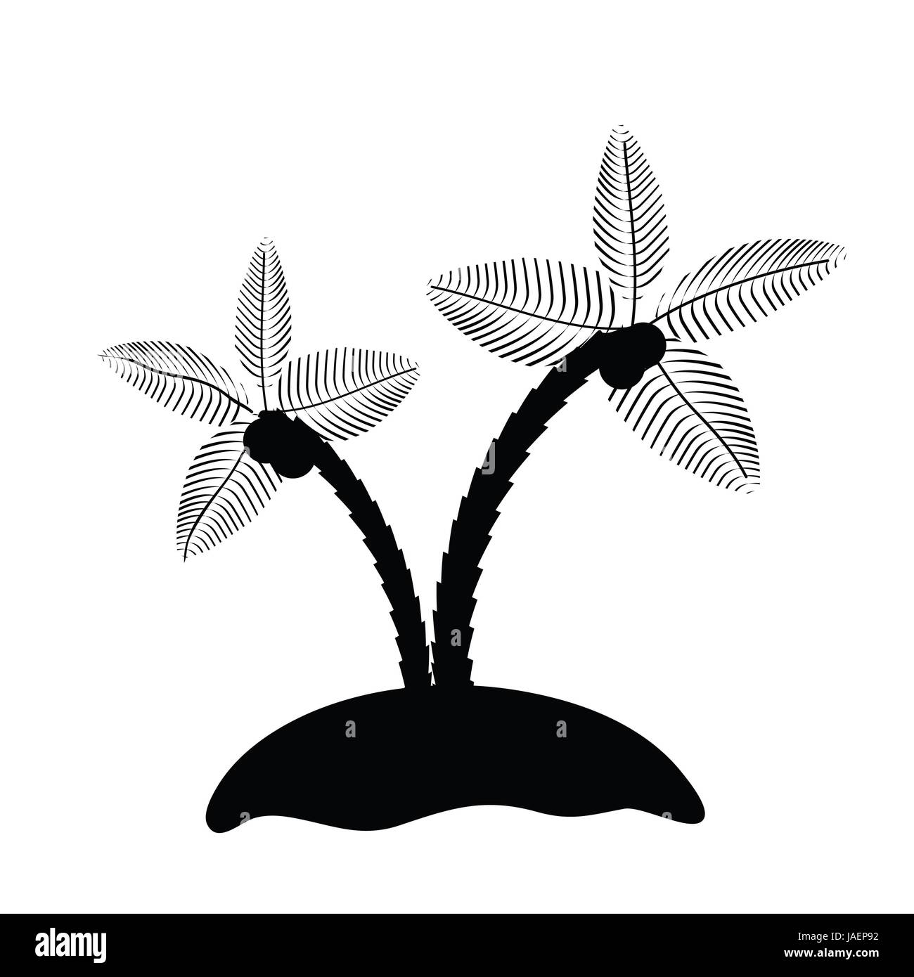 black silhouettes two palms for your design Stock Photo - Alamy