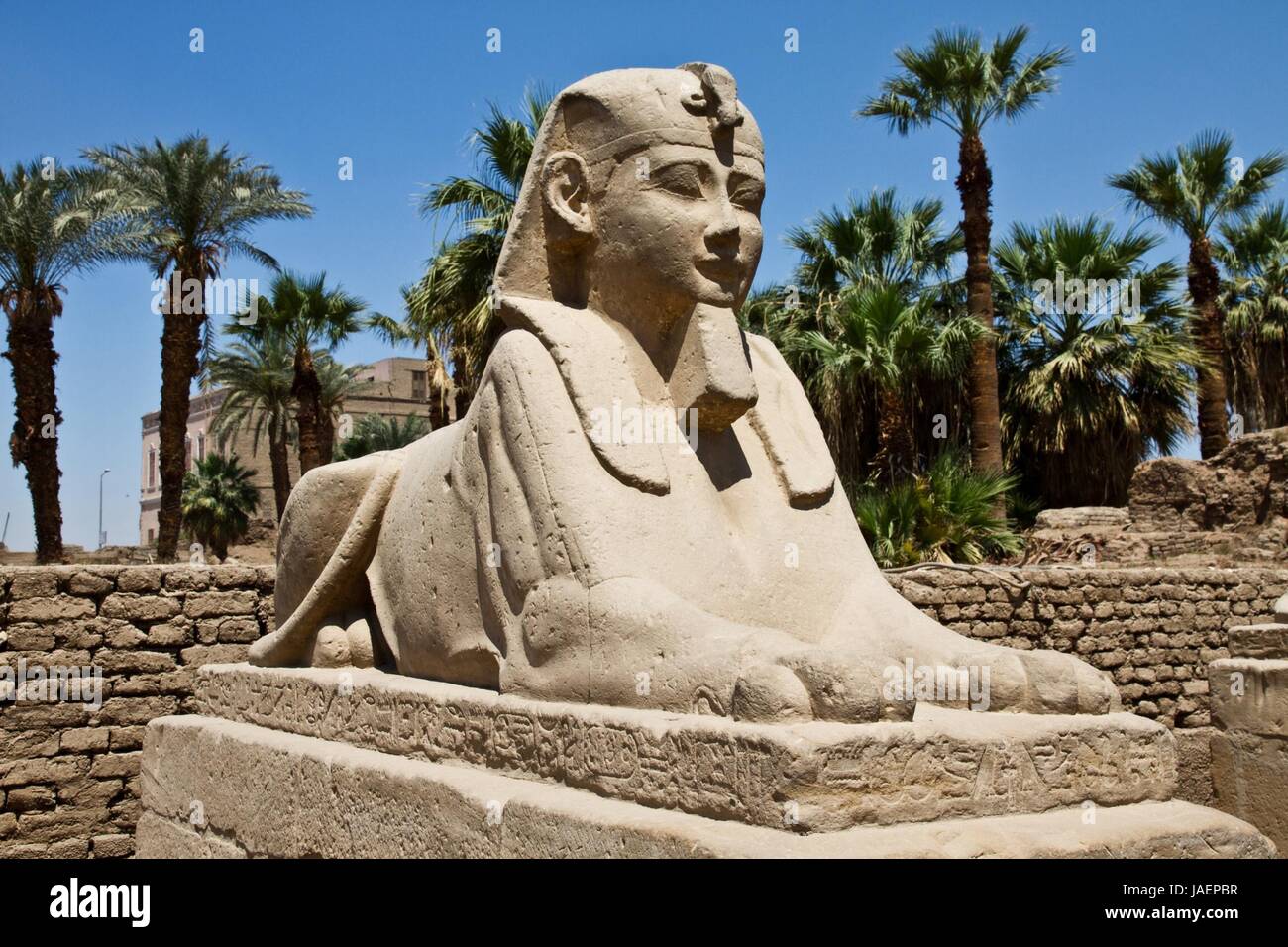 Old pharaoh hi-res stock photography and images - Alamy