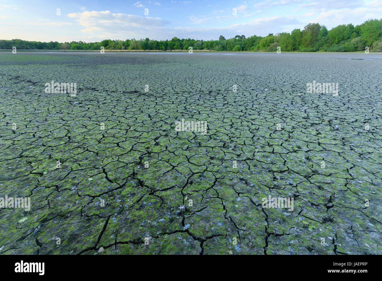 Empty pond hi-res stock photography and images - Alamy
