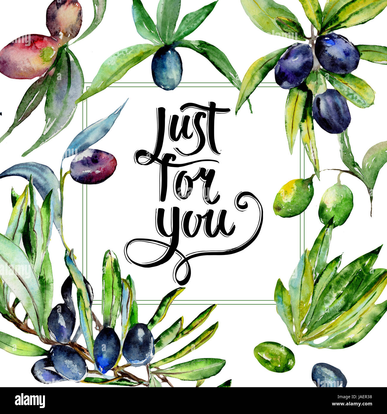 Olive tree frame in watercolor hi-res stock photography and images - Alamy