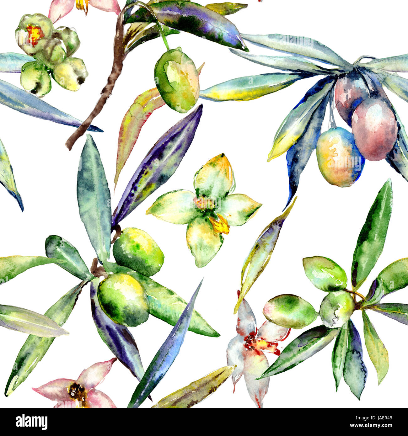 Olive tree pattern in a watercolor style isolated Stock Photo - Alamy